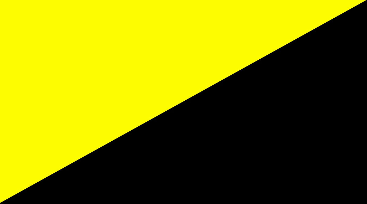 What is Anarcho-Capitalism? – Libertarian Country