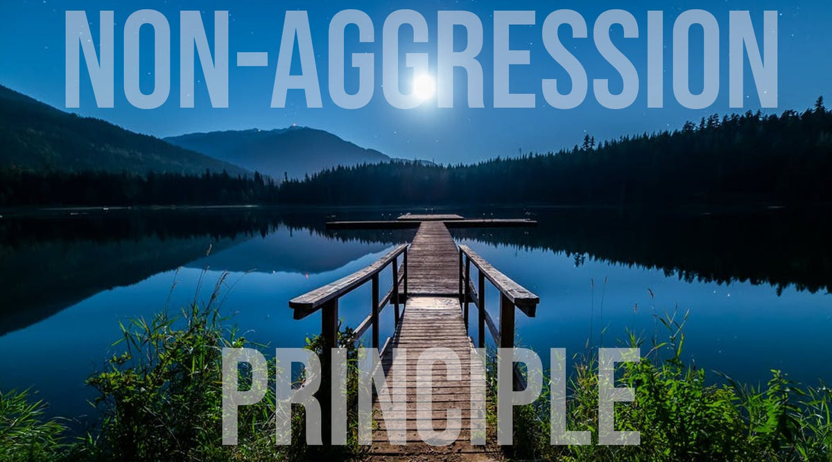 What is The Non-Aggression Principle? – Libertarian Country